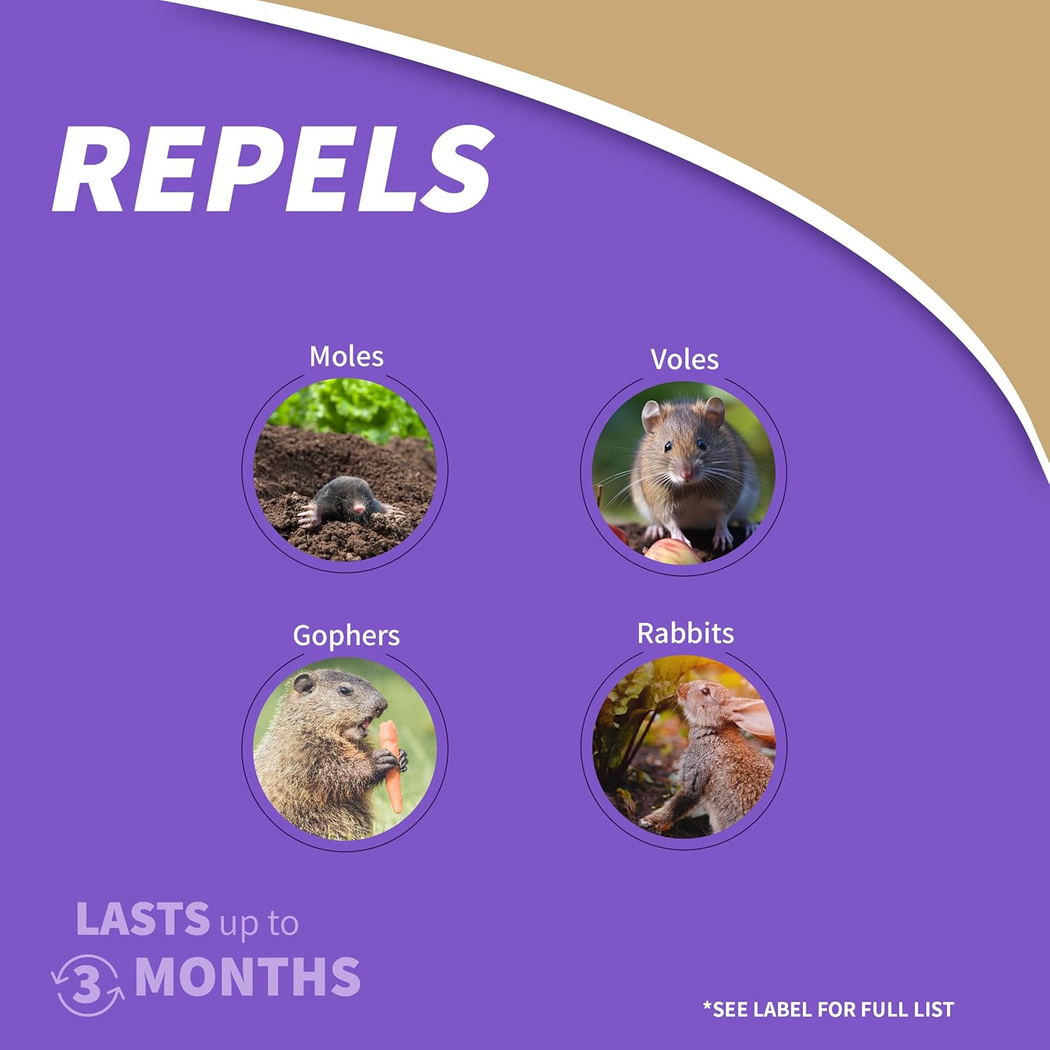 Wholesale Bonide MOLEMAX Mole & Vole Repellent Granules, 10 lbs. Ready ...