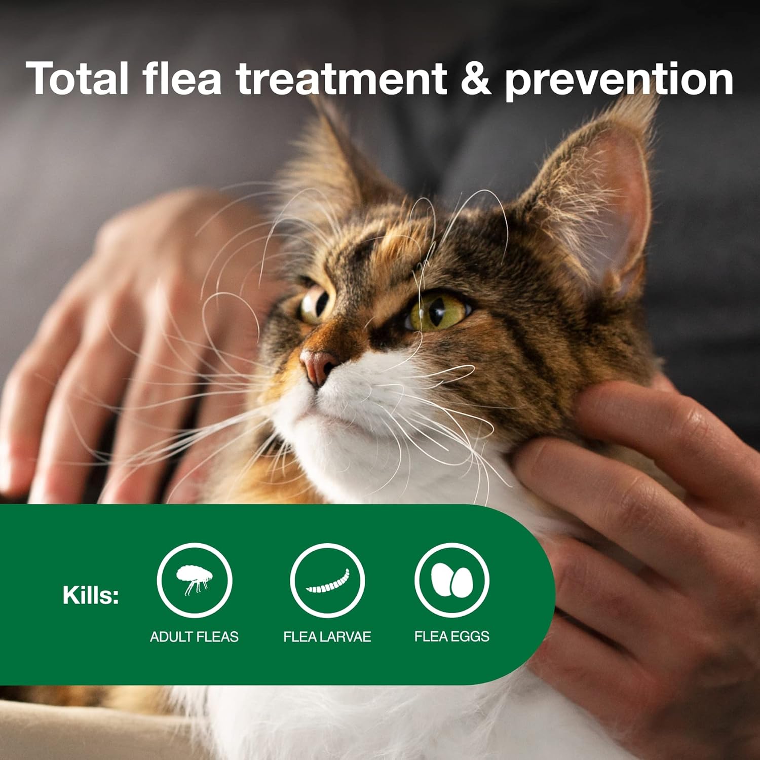 Wholesale Advantage II Large Cat Vet-Recommended Flea Treatment ...