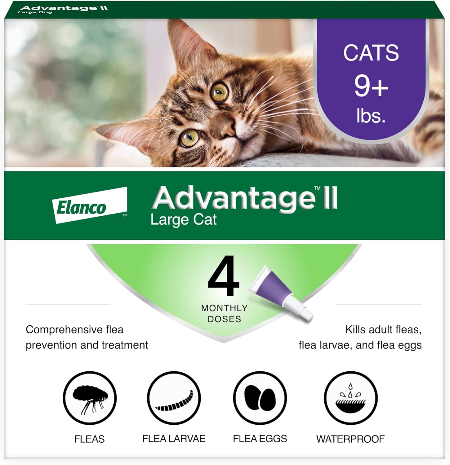 Wholesale Advantage II Large Cat Vet-Recommended Flea Treatment ...